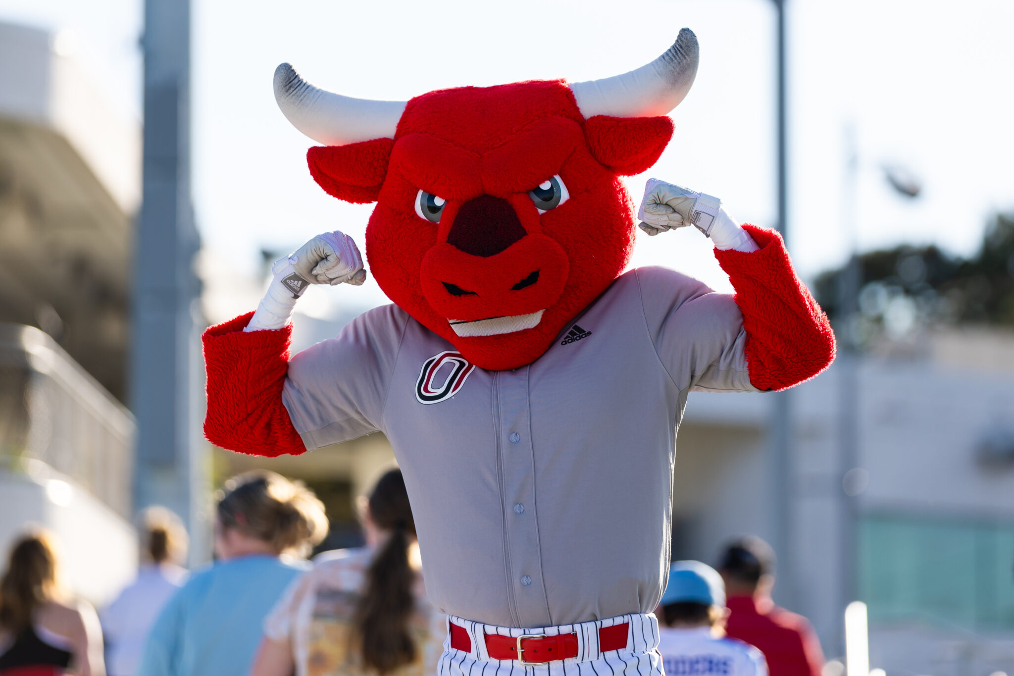 Home - Maverick Park